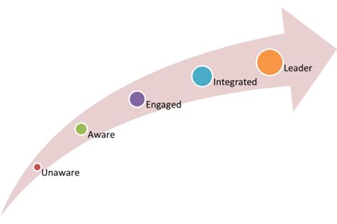 Adoption Lifecycle Netisoft Consultants Pvt Ltd
