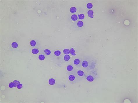 Eurocytology