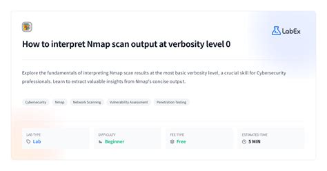 Nmap 스캔 결과 Verbosity 레벨 0 해석 가이드 Labex