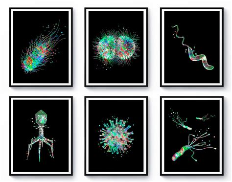 6 Microorganism Art Bacteria Art Microbiology Art Microbe Art Etsy