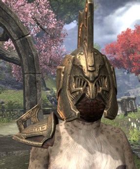 Eso Fashion Sentinel Of Rkugamz Elder Scrolls Online