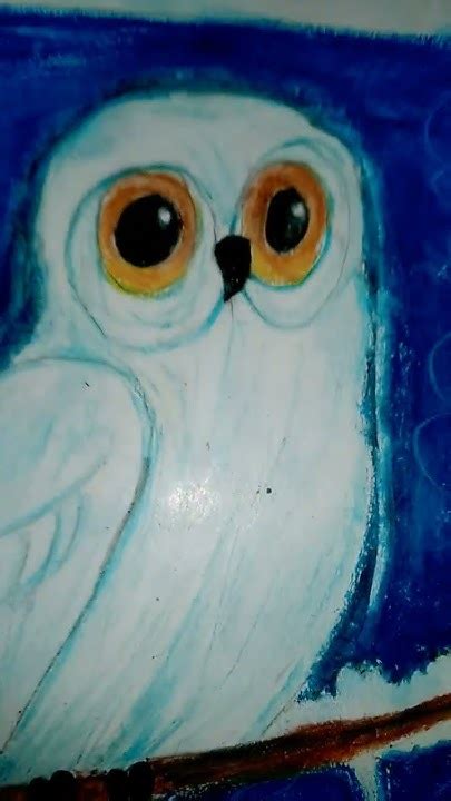 Paca Drawing Short Youtube