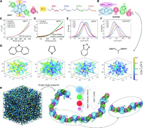 Segmental Dynamics Of Different Building Blocks Of Conjugated Polymers Download Scientific