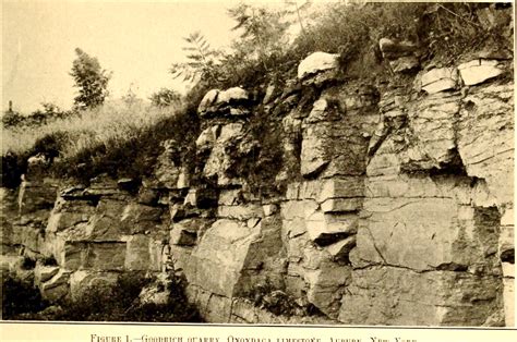 Digitization Of Sedimentary Outcrops
