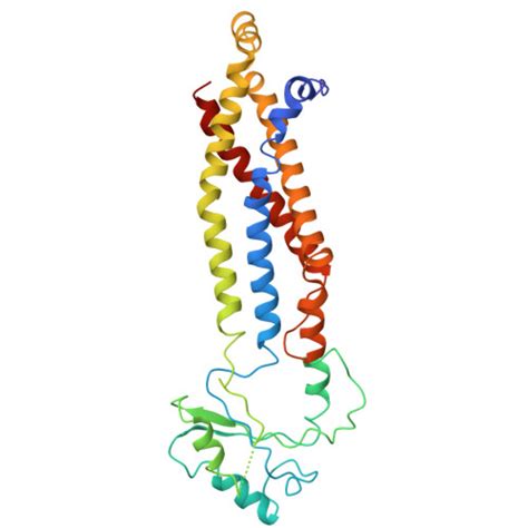 Rcsb Pdb 8idb Cryo Em Structure Of Mycobacterium Tuberculosis Ftsex