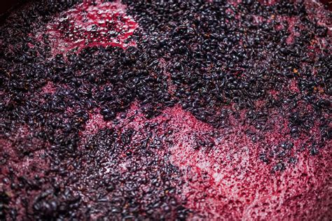 What Is Primary And Secondary Fermentation In Wine