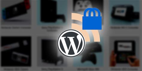 Winwar Media Manchester Wordpress Developer