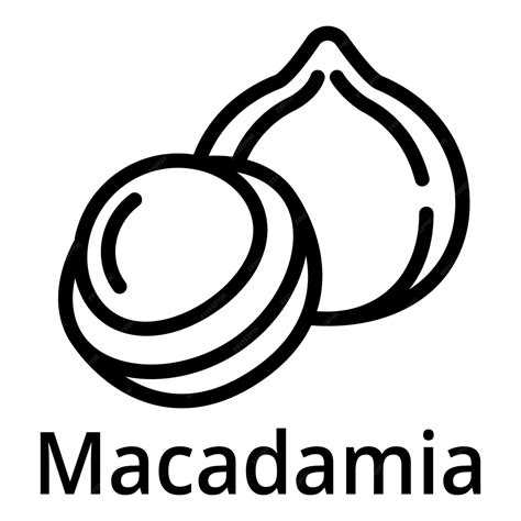 Premium Vector Macadamia Icon Outline Macadamia Vector Icon For Web Design Isolated On White