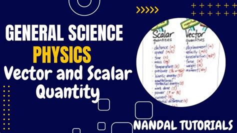 Vector And Scalar Quantity Physics Upsciaspcsndacds 2023 24