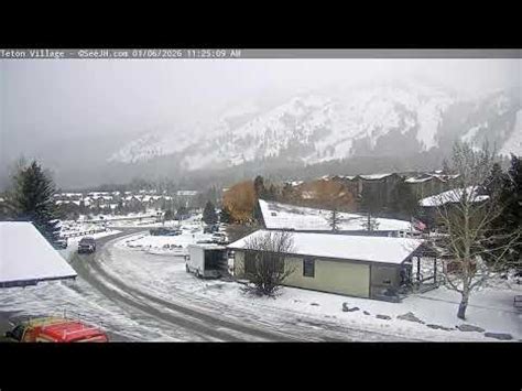 Grand Teton Webcams Live Views And Wildlife