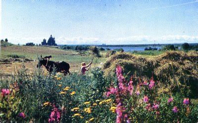 Humanoidhistory Tumblr Com Tumbex