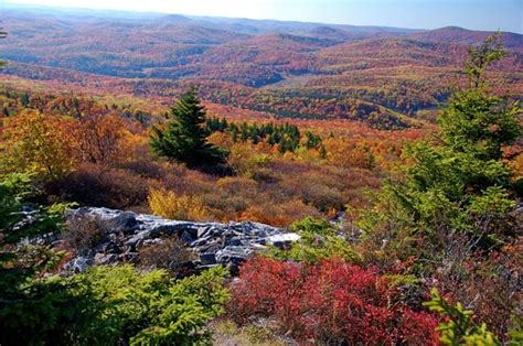 Seneca Rocks Wv Tourismus In Seneca Rocks Tripadvisor