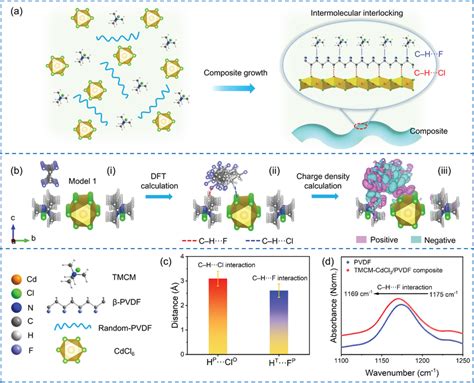 The Intermolecular Interlocking Effect Between Tmcm‐cdcl3 And Pvdf A