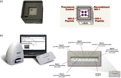 A Bio Rad Multispot Hiv 1hiv 2 Rapid Test Images Kindly Provided By