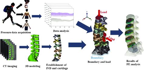 Experimental Flow And Fa Modeling Download Scientific Diagram