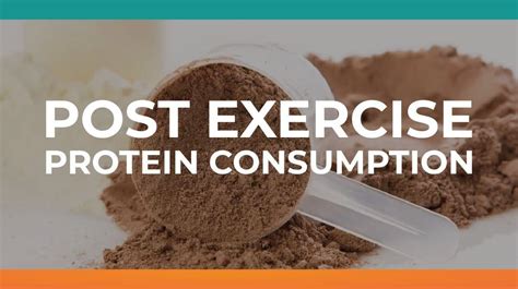 Post Exercise Protein Consumption Impakt Health