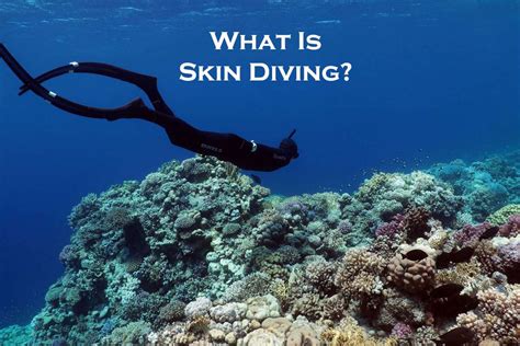 Snorkeling For Non Swimmers How To Do It In A Safe Way
