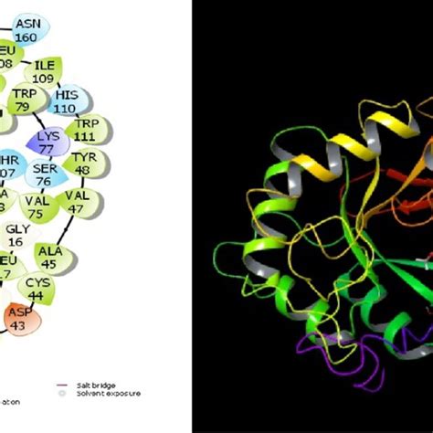 Presentation Interactions Of 2′ Hydroxy 4′ 5′ Dimethoxyacetophenone Download Scientific Diagram