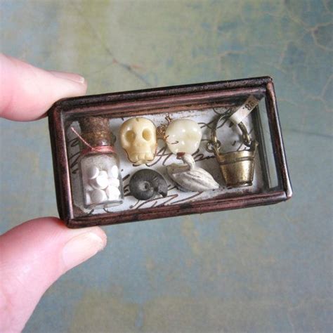 Pocket Museum Glass Box Assemblage Curiosity Art Object Box