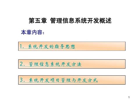 第五章 管理信息系统开发概述 word文档在线阅读与下载 无忧文档