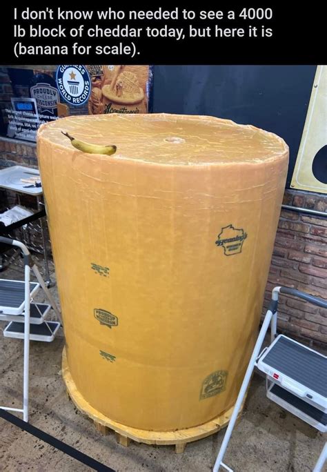 Cheese Cake Day Album On Imgur