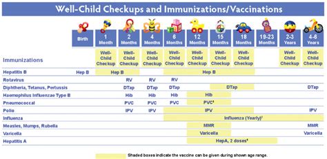 Printable Immunization Record Template Business Psd