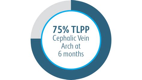 Bd Covera™ Vascular Covered Stent Precision For Av Access Management Bd
