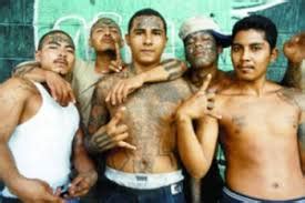 How About Them Dreamers Ms 13 Directs Members To ‘take Out A Cop