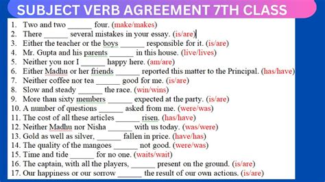 Subject Verb Agreement Test And Explanations 7th Class Youtube