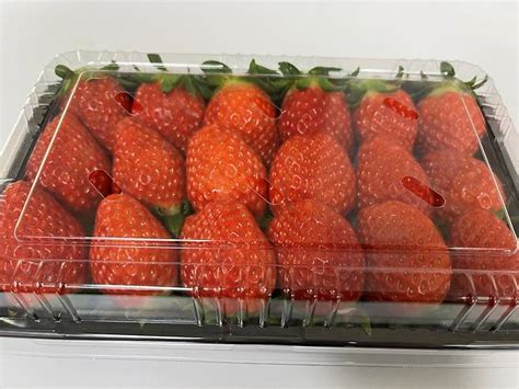 딸기 그냥 사지 마세요 과일가게 사장님이 알려준 딸기 고르는 법 꿀하우스