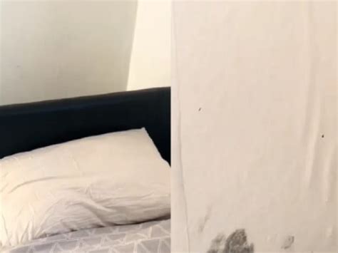 Estaba limpiando la habitación de sus hijos y quedó en shock con lo que encontró debajo de una