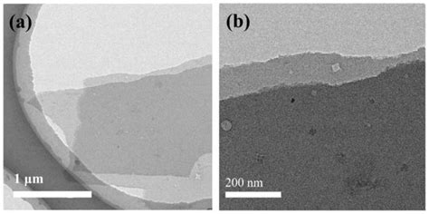 Two Dimensional Graphitized Carbon Nanomaterial As Well As Preparation