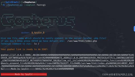 Ctfhub Ssrf Fastcgi协议ctfhub Ssrf Fast Cgi协议不用kali Csdn博客