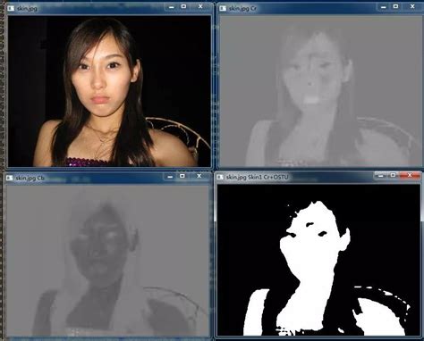 Python应用 行代码实现人体肤色检测 搜狐大视野 搜狐新闻