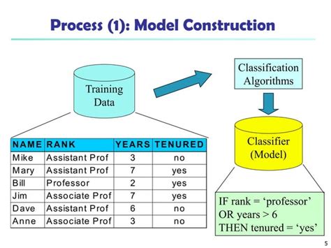 classification in data mining and data warehousing pdf