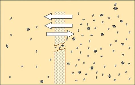 Schematic Representation Of Diffusion Between Blood And Dialysate