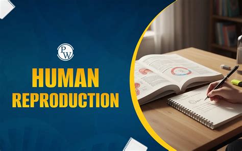 Human Reproduction Male And Female Reproductive Parts