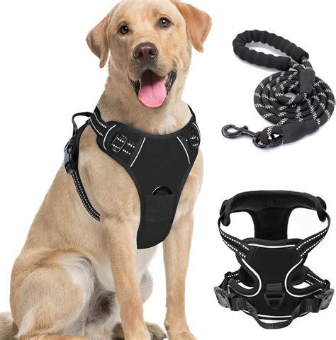 Luanma Arnés Para Perro，pechera Para Perro Con Correa 1 5m， Arnes Pecho