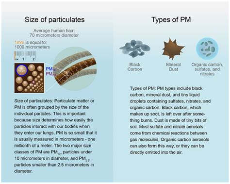 Particulate Matter And Its Effects Fotis Edu