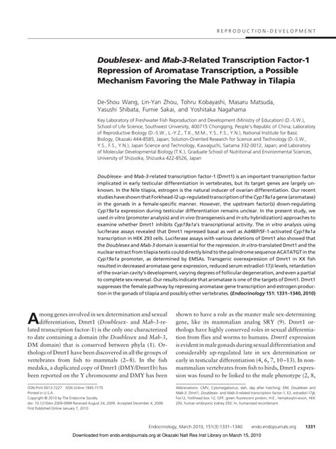Pdf Doublesex And Mab3related Transcription Factor1 Repression Of
