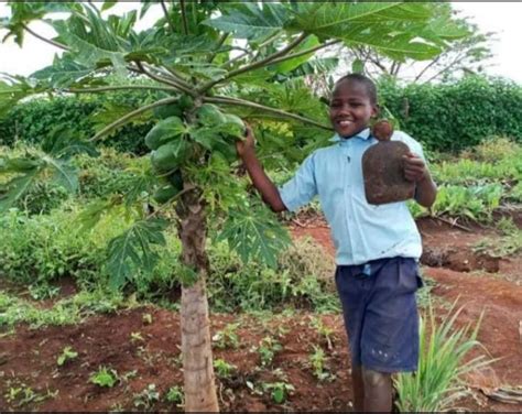 The Boostyourimmunesystem Maureen Maina