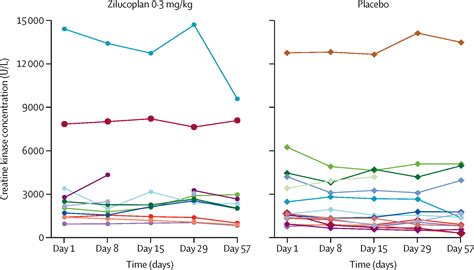 Zilucoplan In Immune Mediated Necrotising Myopathy A Phase 2