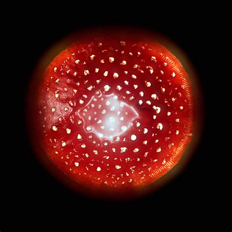 Peeter Laurits Białystok Interphoto