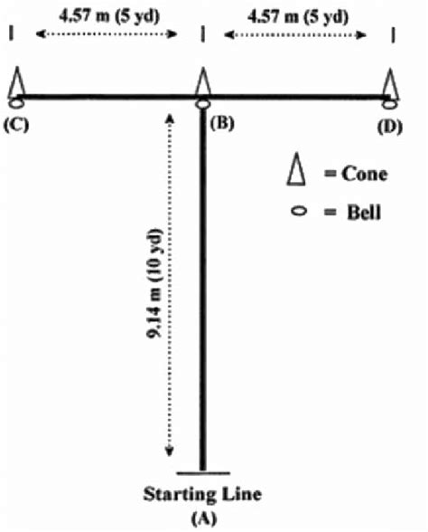 Layout Of The T Test Source Pauloe Et Al 2000 Download