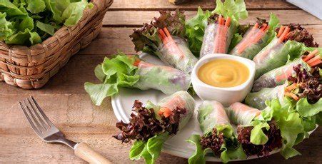 แจกฟรี 5 สูตร วิธีทำ สลัด โรล ทำขายง่าย ลูกค้าแน่น ติดใจ