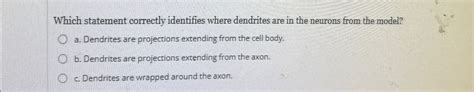 Solved Which Statement Correctly Identifies Where Dendrites Chegg