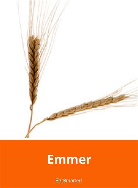 Emmer | Gesunde ernährung tipps, Ernährungslehre, Nahrungsinformationen