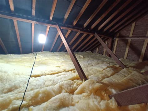 Loft Insulation Pro Insulate