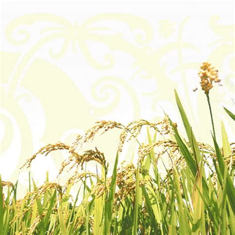 Azid Allan On Linkedin Selamatharirayaaidilfitri Selamatarigawai