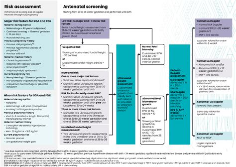 Small For Gestational Age And Fetal Growth Restriction In Nz Management